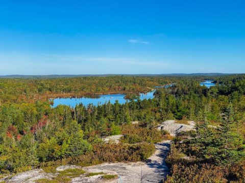 The Bluff Wilderness Area Trails: A Complete Guide – Hikers Movement