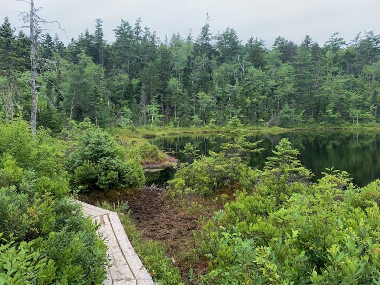 Hiking The Crowbar Lake Trails In Nova Scotia – Hikers Movement