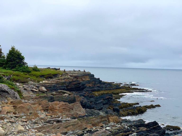 Hiking Gaff Point Trail In Nova Scotia – Hikers Movement