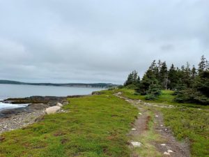 Hiking Gaff Point Trail In Nova Scotia – Hikers Movement