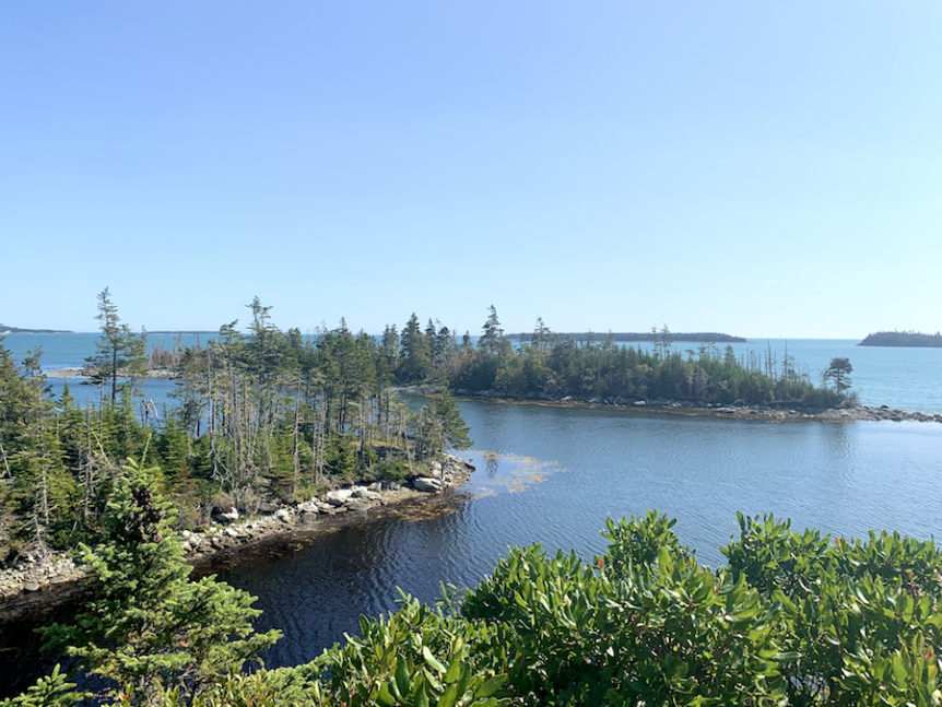 Egypt Falls Trail In Cape Breton, Nova Scotia – Hikers Movement