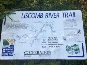 Liscomb River Hike, Nova Scotia – Hikers Movement