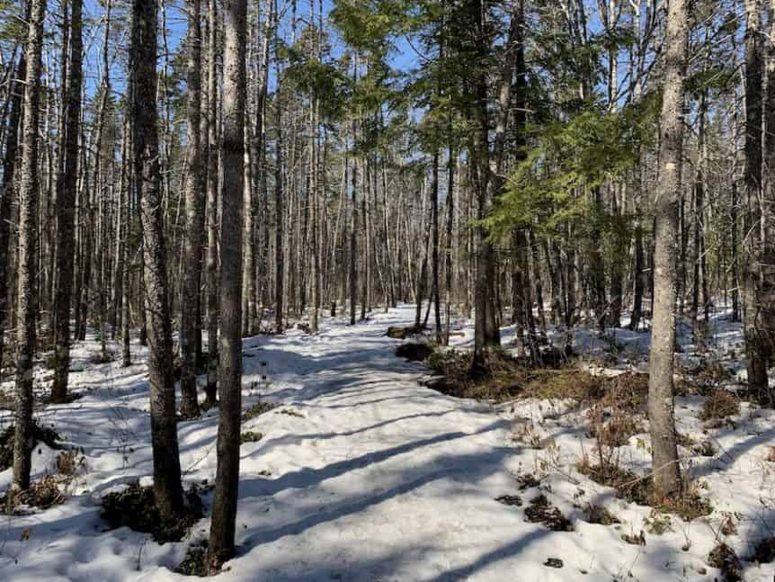 Nine Mile River Hiking Trails, Nova Scotia – Hikers Movement