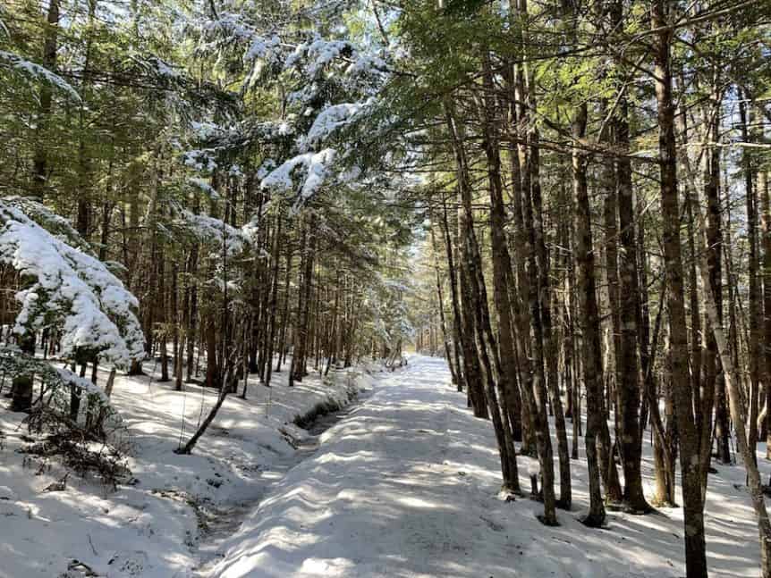 Nine Mile River Hiking Trails, Nova Scotia – Hikers Movement