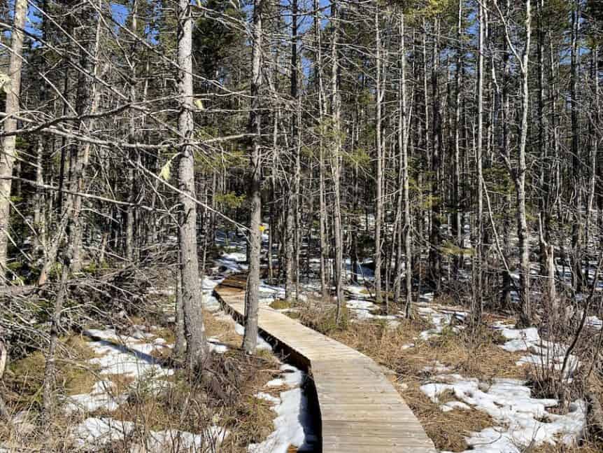 Nine Mile River Hiking Trails, Nova Scotia – Hikers Movement