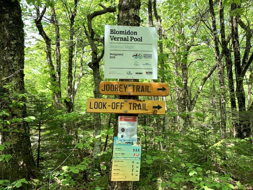 Hiking Blomidon Provincial Park, Nova Scotia – Hikers Movement