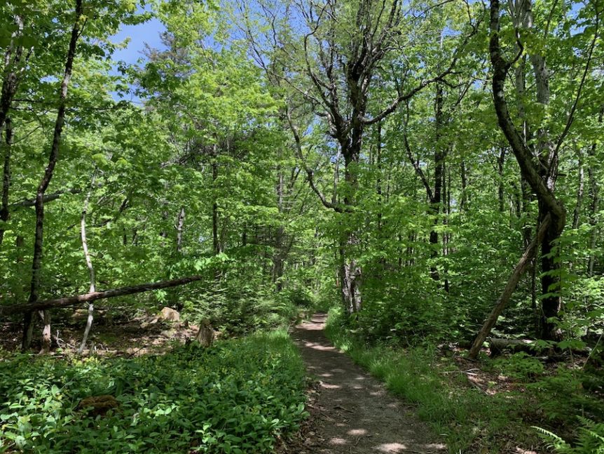 Hiking Blomidon Provincial Park, Nova Scotia – Hikers Movement