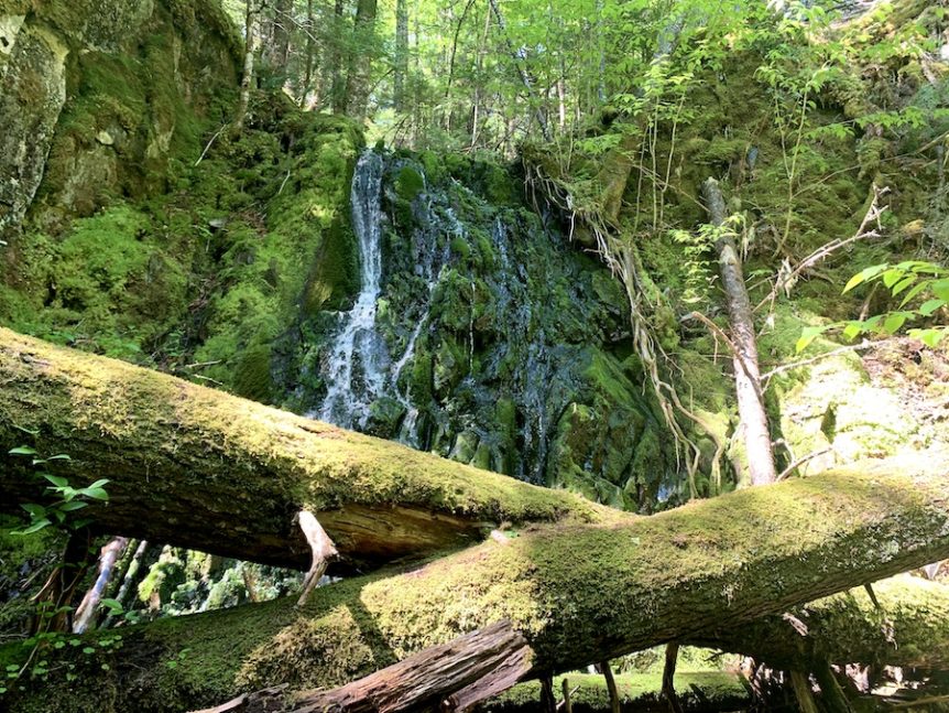Egypt Falls Trail In Cape Breton, Nova Scotia – Hikers Movement
