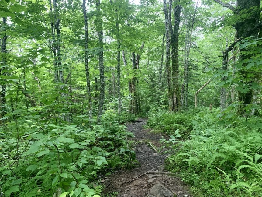 Egypt Falls Trail In Cape Breton, Nova Scotia – Hikers Movement