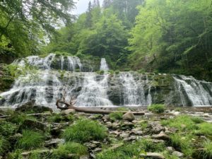 Egypt Falls Trail In Cape Breton, Nova Scotia – Hikers Movement
