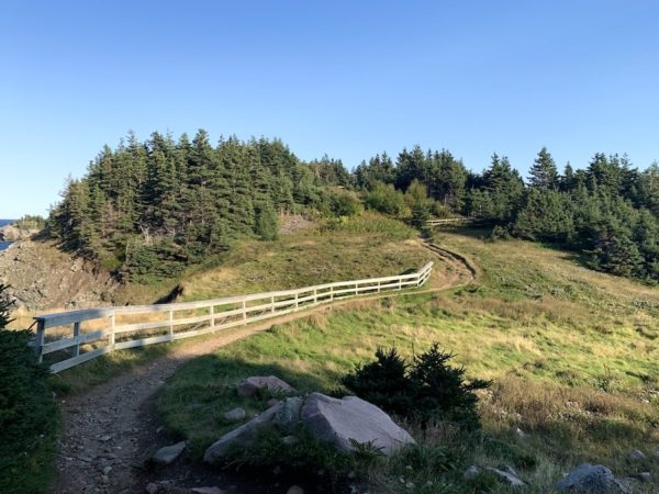 Hiking Middle Head Trail (Cape Breton, NS) - Hikers Movement