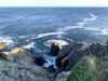 Hiking Middle Head Trail In Cape Breton – Hikers Movement