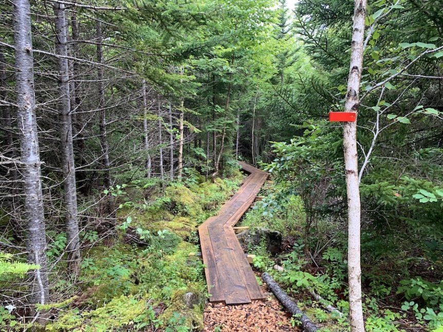 Hiking Van Tassel Lake Trails In Nova Scotia – Hikers Movement