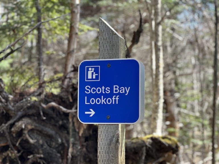 Hiking Cape Split Trail: A Complete Guide – Hikers Movement