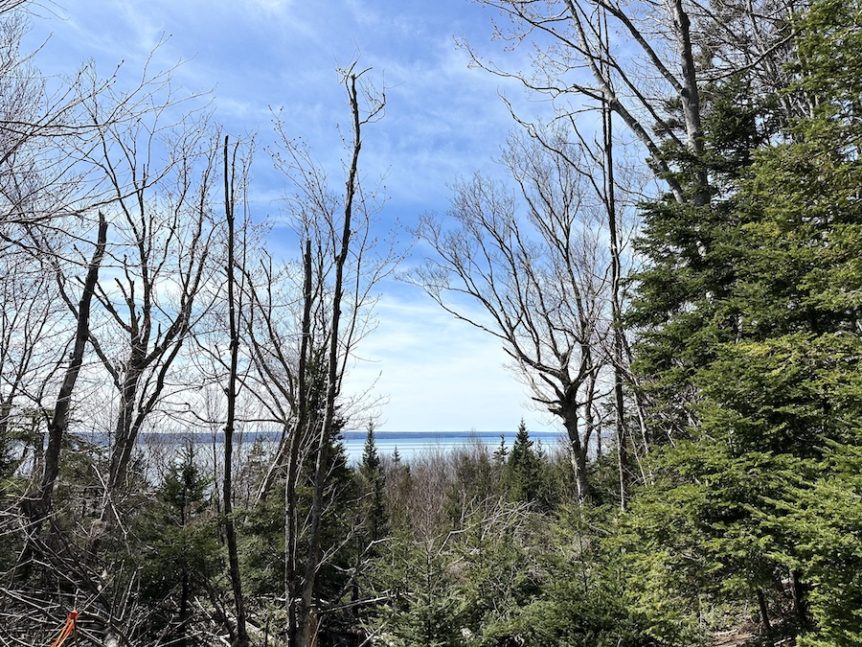 Hiking Cape Split Trail: A Complete Guide – Hikers Movement