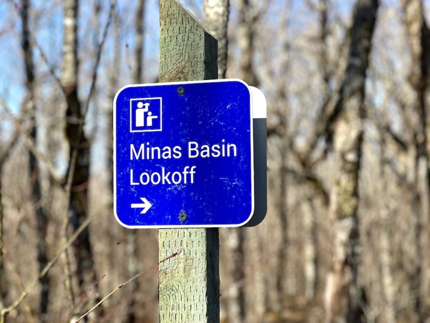 Hiking Cape Split Trail: A Complete Guide – Hikers Movement