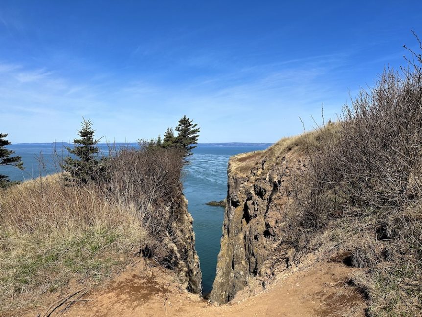 Hiking Cape Split Trail: A Complete Guide – Hikers Movement